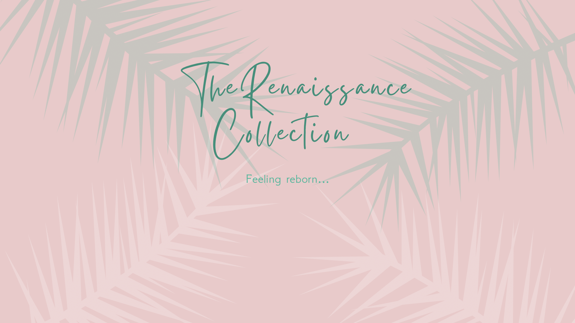 The MAnnequin Collection – The MAnnequin Collection